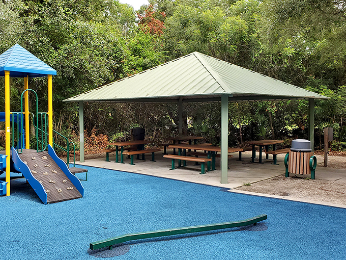 Family-friendly parks with modern playgrounds prove DeLand caters to visitors of all ages. Grandkids' paradise with shade for grandparents!