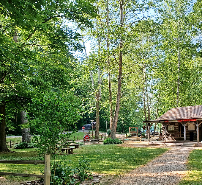Picnic perfection awaits. This rustic rest area proves that lunch tastes infinitely better when seasoned with fresh air and birdsong.