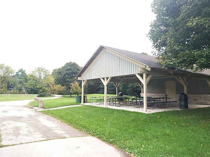 This picnic shelter has witnessed more family reunions, first kisses, and potato salad disasters than it will ever reveal.