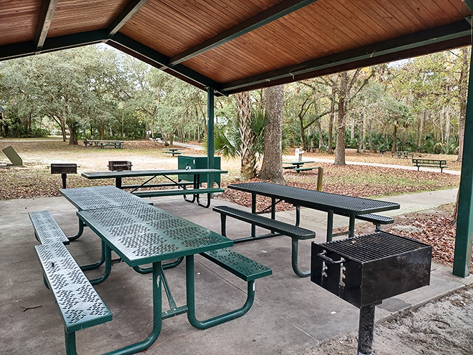 Al fresco dining, Florida-style. These picnic tables have hosted more memorable family meals than many fancy restaurants ever will.