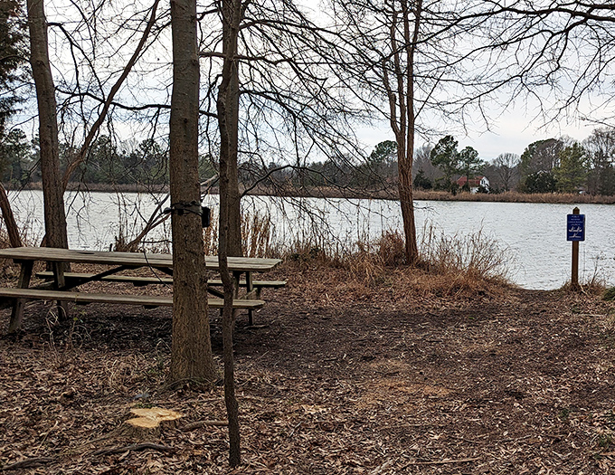 A picnic table with million-dollar waterfront views &ndash; no reservation required, though the birds might join uninvited.