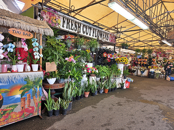 A jungle of potted possibilities. This plant vendor offers everything from practical houseplants to tropical specimens that would make a botanical garden jealous.