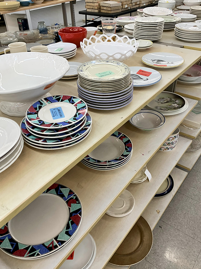 A symphony of plates that didn't match in someone else's cabinet but might be perfect in yours. Mismatched is the new matching!