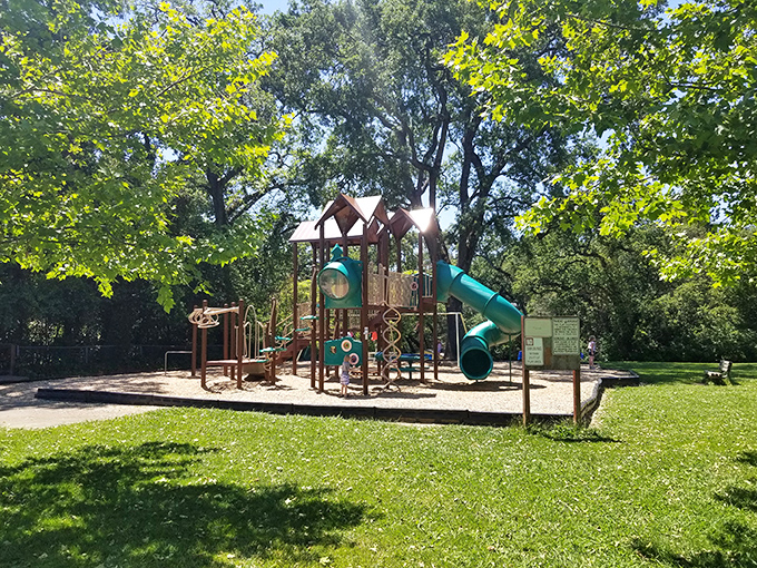 Auburn's community playgrounds nestle under ancient oaks, offering kids the increasingly rare luxury of playing in actual nature instead of on screens.