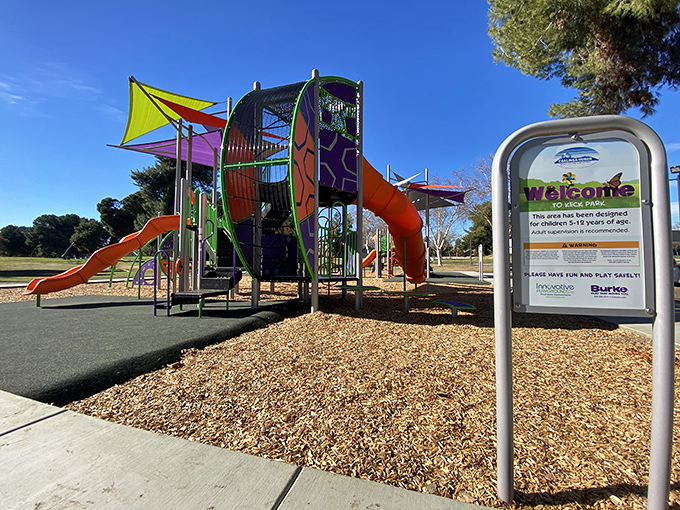 Coalinga's modern playground proves affordable towns don't skimp on family amenities – slides and climbing structures that would make city kids jealous.