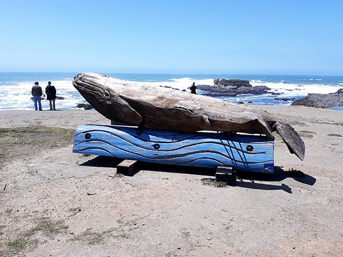 This driftwood whale sculpture at Pomo Bluffs Park perfectly captures Fort Bragg's spirit&mdash;artistic, nature-inspired, and impossible to experience anywhere else.