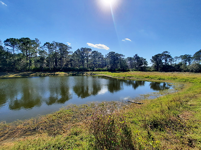 Florida's natural water features aren't just pretty&mdash;they're practical. This pond reflects both sky and the state's clever water management.