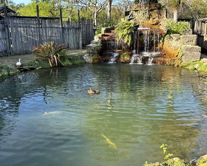The breakfast buffet at gator central features a menu that's remained unchanged for about 200 million years.