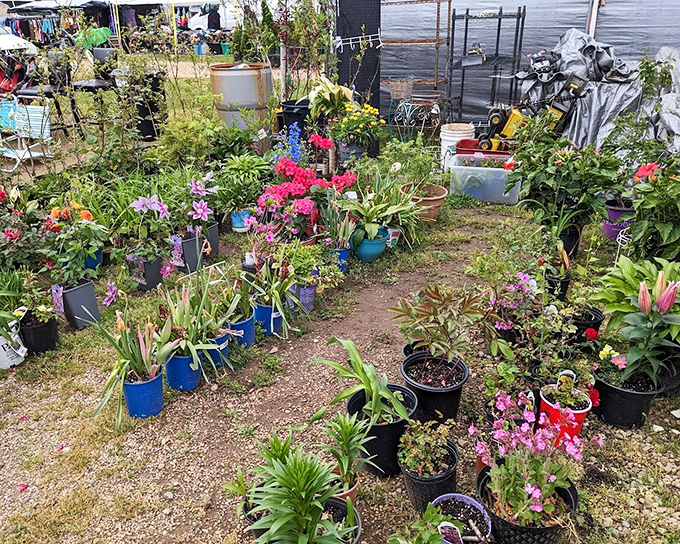 A plant lover's paradise. From flowering perennials to sturdy succulents, this green oasis offers living souvenirs that keep on giving.