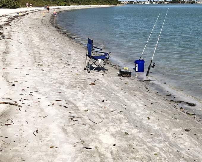 Where mangroves meet the sea, creating nature's most perfect marriage of land and water.