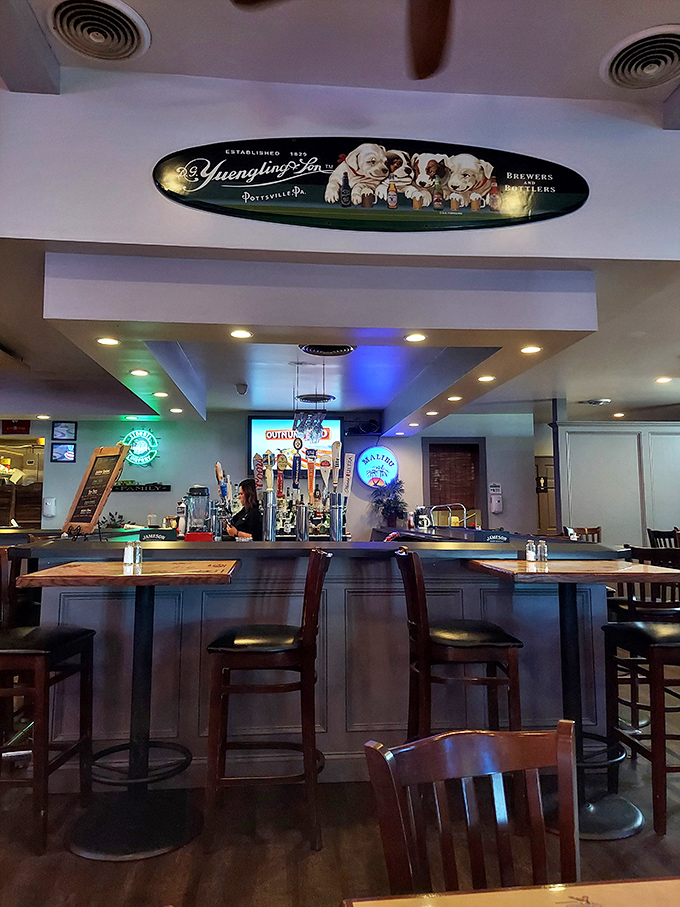 The bar area, complete with Yuengling memorabilia, strikes that perfect balance between "sports bar" and "place where you can actually hear your dinner companion."