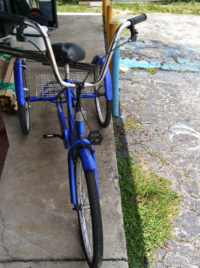 A blue adult tricycle that promises the wind in your hair without the whole balancing act. Freedom on three wheels for the young at heart.