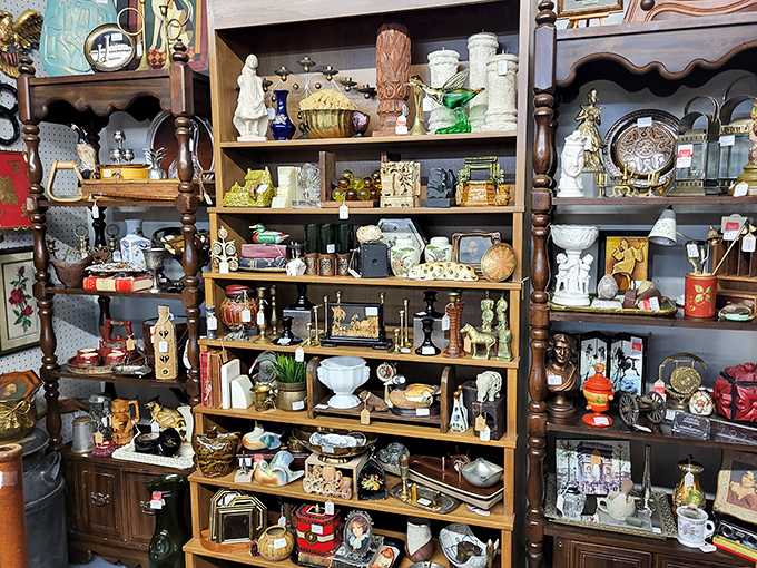 Curated clutter that tells stories spanning generations, with each shelf offering a different chapter of American domestic life.