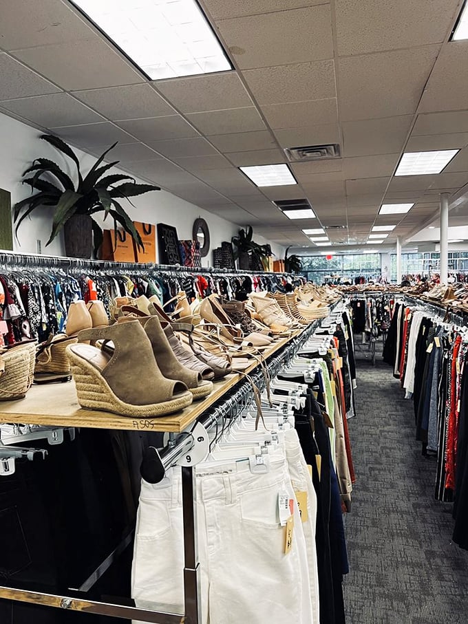 Shoes with personality lined up like eager contestants on a dating show, each one hoping you'll take it home.