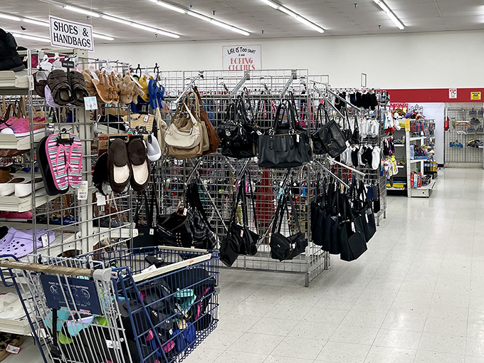 The accessories corner—where yesterday's handbags hang like ripe fruit, waiting for someone to recognize their timeless potential.