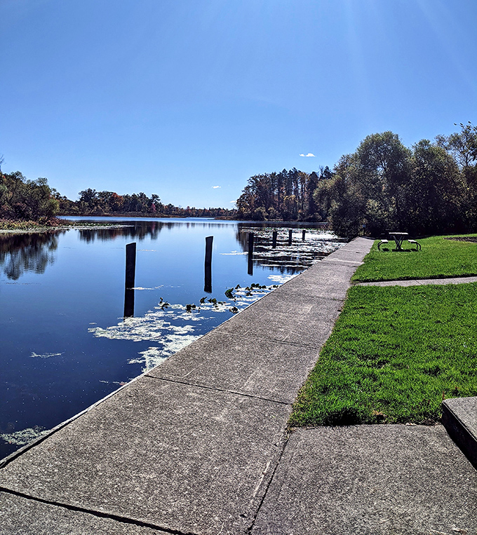 Lakeside pathways that invite contemplation. The perfect spot to ponder life's big questions or simply admire how the sunlight dances on water.