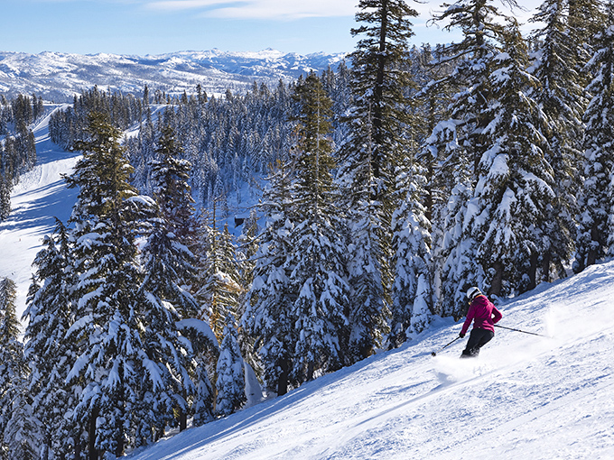 Carving through pristine powder with endless Sierra views. This skier is experiencing what snow enthusiasts call "earning their apr&egrave;s-ski hot chocolate."