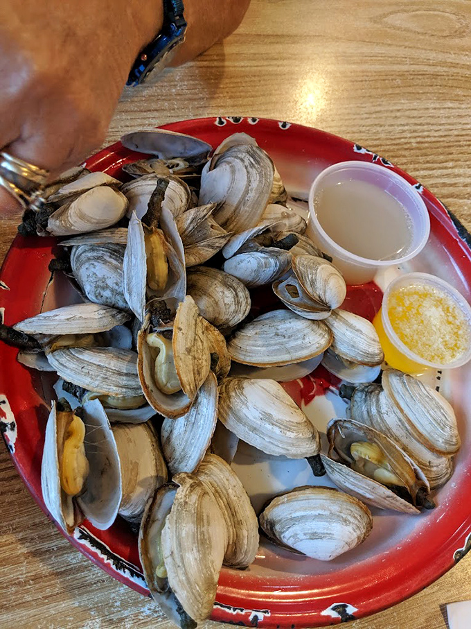 Steamed clams in their natural glory &ndash; little treasures waiting to be dipped in melted butter and transported directly to your happy place.