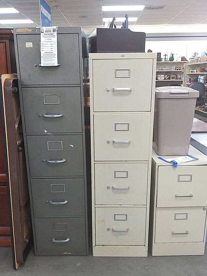 File cabinets standing at attention, ready to organize your life for less than the cost of a fancy dinner.