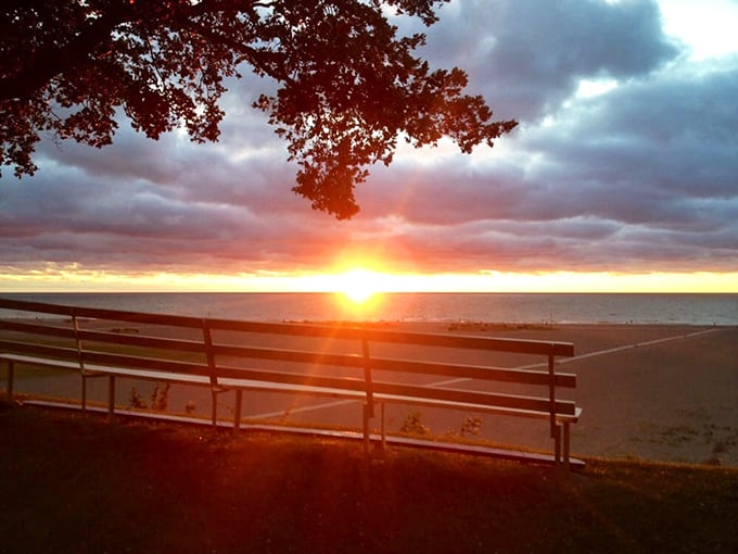 Nature's own light show as the sun bids farewell over Lake Erie. This bench has witnessed thousands of perfect moments just like this one.