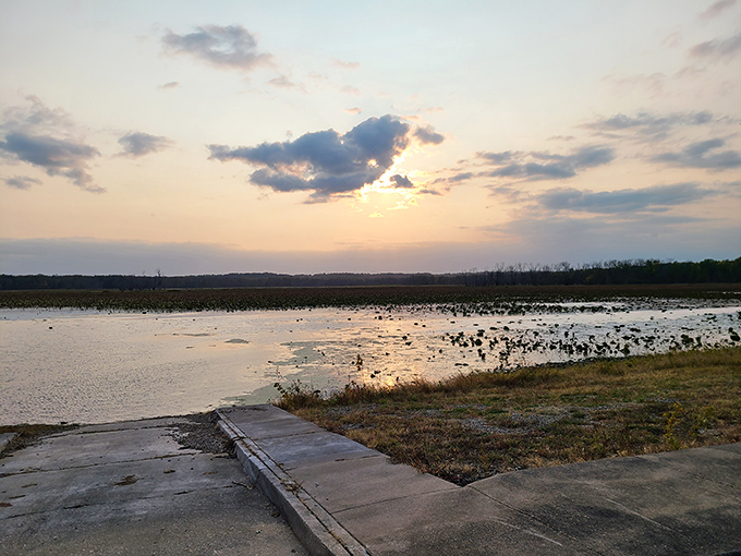 Sunset at the wetlands area&mdash;where the sky performs its nightly watercolor demonstration and even the birds stop to applaud.