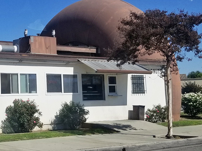 Where donut dreams come true. The humble takeout window has witnessed countless smiles as boxes of joy are passed to waiting hands.