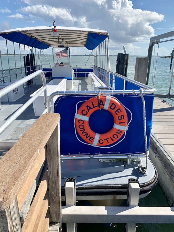 Your chariot to island bliss awaits! The Caladesi Connection ferry transforms ordinary Tuesday afternoons into mini-adventures worth bragging about.