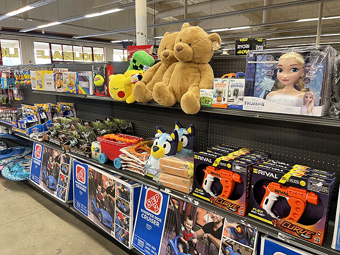 Teddy bears, Pikachu, and Nerf blasters, oh my! The toy section delights kids and awakens the inner child in adults without emptying college savings accounts.