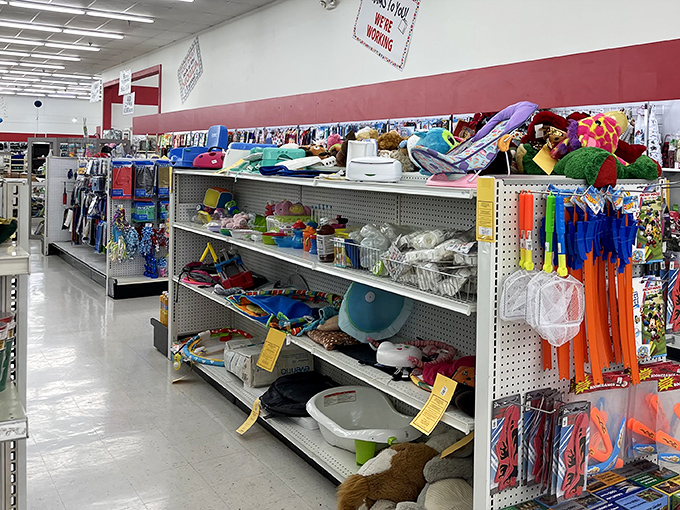 Colorful household treasures line up like a garage sale that never ends, minus the haggling.