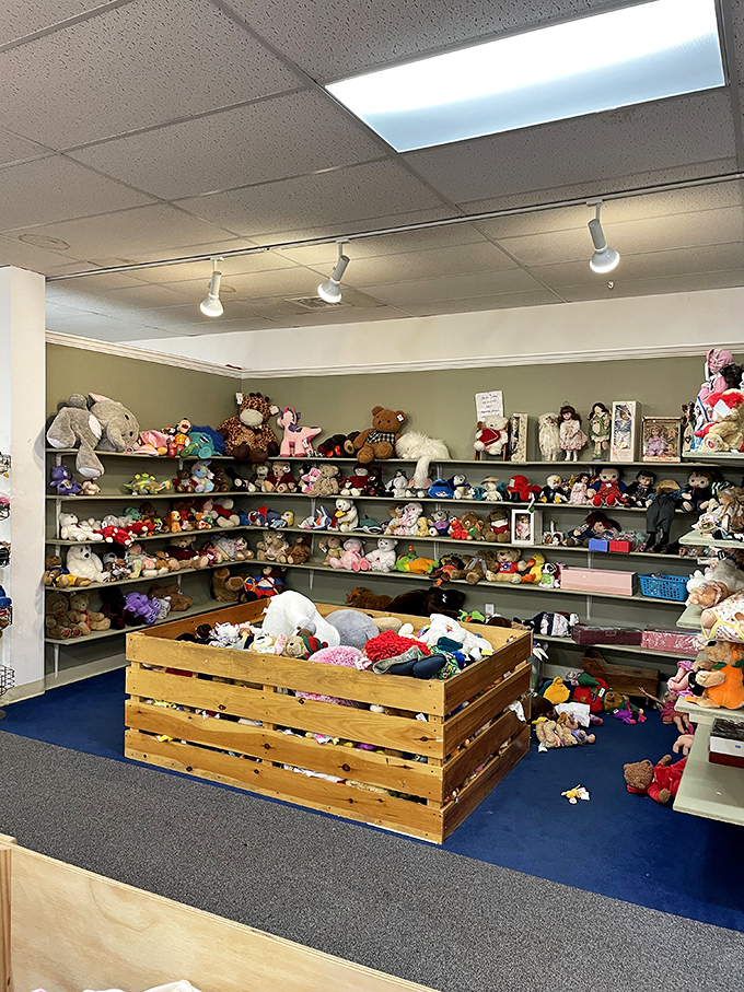 The stuffed animal section resembles a teddy bear convention, with plush friends of all sizes waiting for new homes and bedtime cuddles.