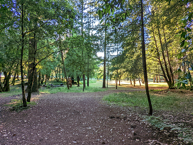 Not all who wander are lost, but all who wander here are enchanted. The park's trails invite exploration beyond the famous drive-through attraction.