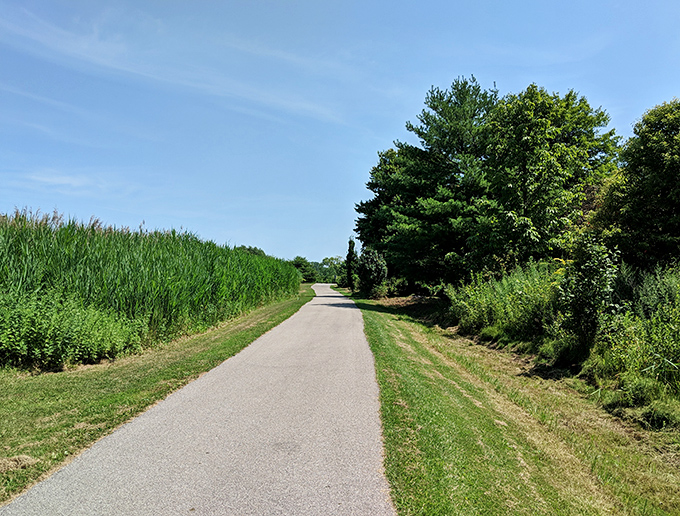 Country trails flanked by cornfields and wildflowers offer the kind of peaceful walks that clear your mind better than any meditation app.