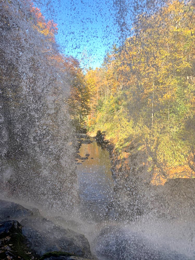Behind the liquid curtain lies nature's VIP section - front row seats to the earth's most enduring show.