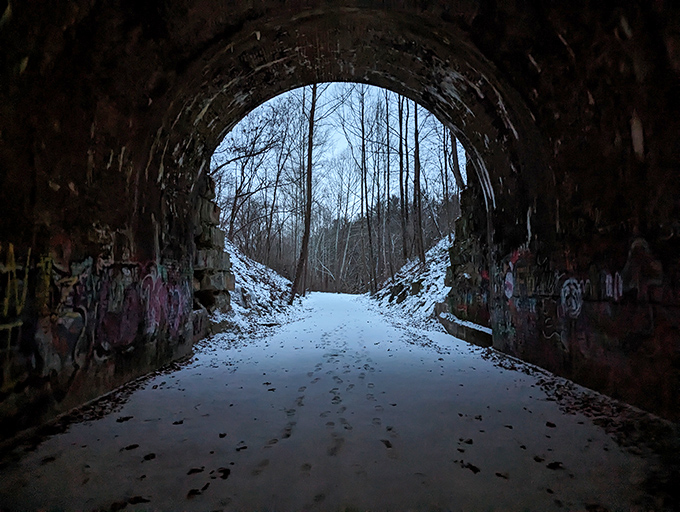 Standing inside looking out offers a different perspective&mdash;the tunnel becomes a frame for the living world beyond.
