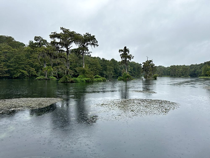 Moody waters mirror the cloudy skies, revealing Wakulla's other personality &ndash; contemplative, mysterious, and no less beautiful on overcast days.
