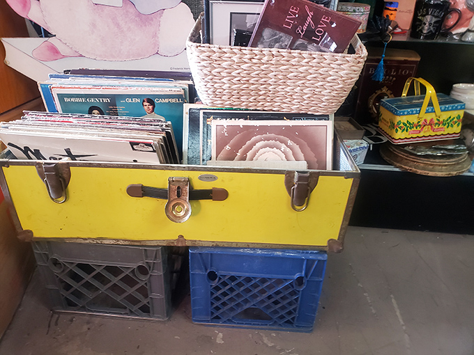 Vinyl treasures nestled in milk crates&mdash;the way records were meant to be discovered. Each sleeve holds musical memories waiting to be spun again.