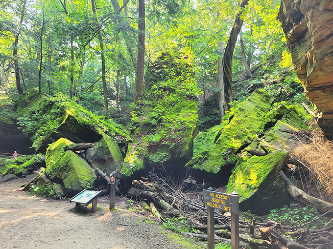 Nature's Jenga game gone wild. These moss-covered boulders have been balancing here since mastodons were the neighborhood troublemakers.