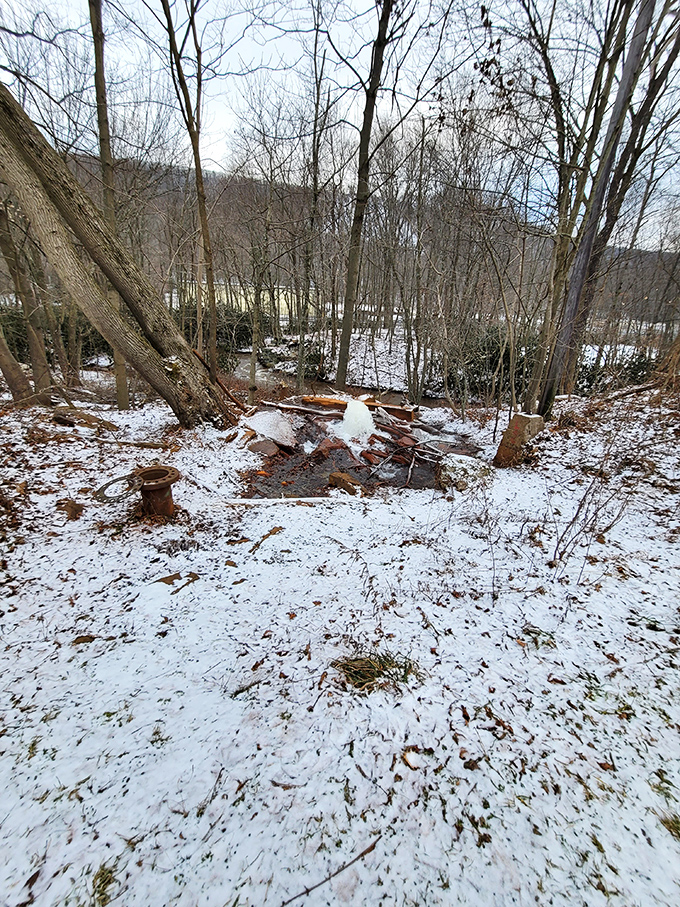 Winter transforms the geyser into a steamy spectacle worthy of any nature documentary.