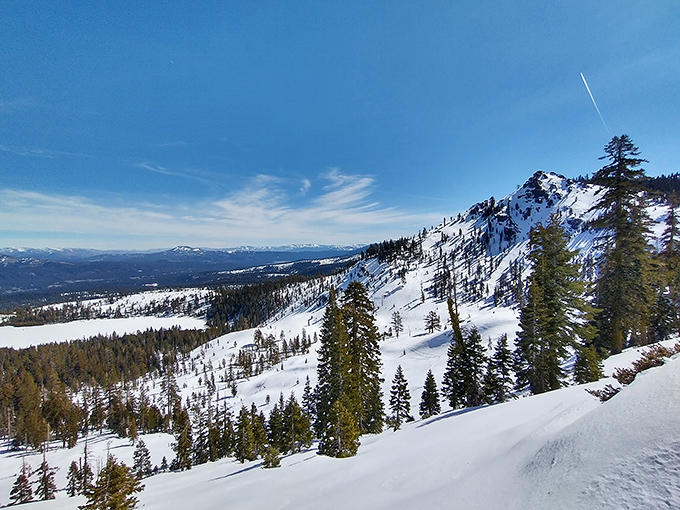 Winter's masterpiece on full display. The snow-draped Sierra landscape transforms familiar terrain into a breathtaking alpine wonderland.
