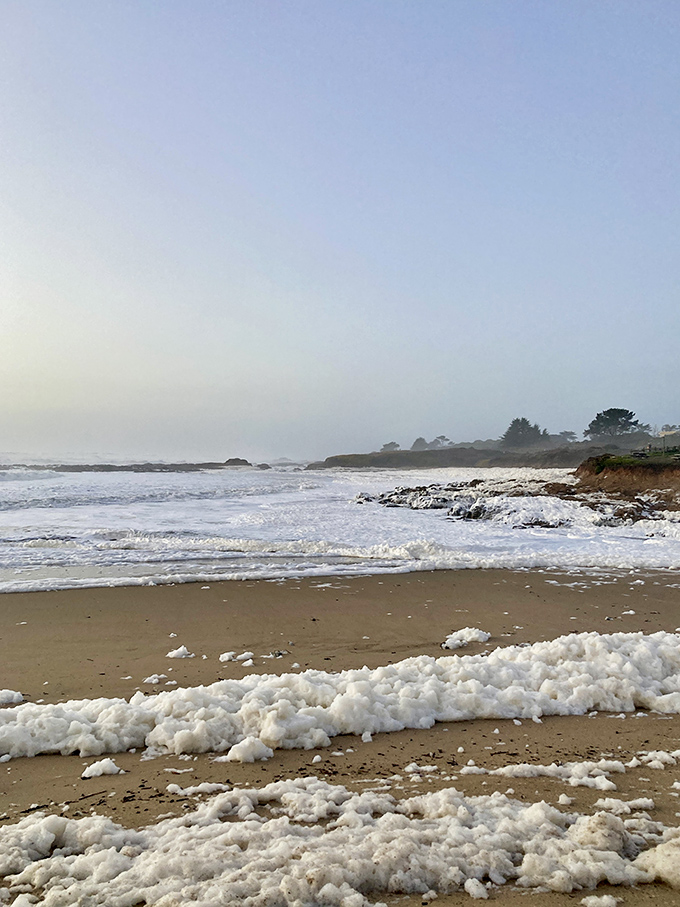 Winter brings a different kind of beach day&mdash;moody skies and sea foam creating a monochromatic masterpiece.
