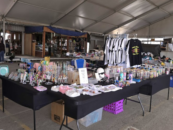 Eclectic treasure trove! Austin Country Flea Market's collectibles corner offers a time capsule of pop culture that Netflix can't stream.