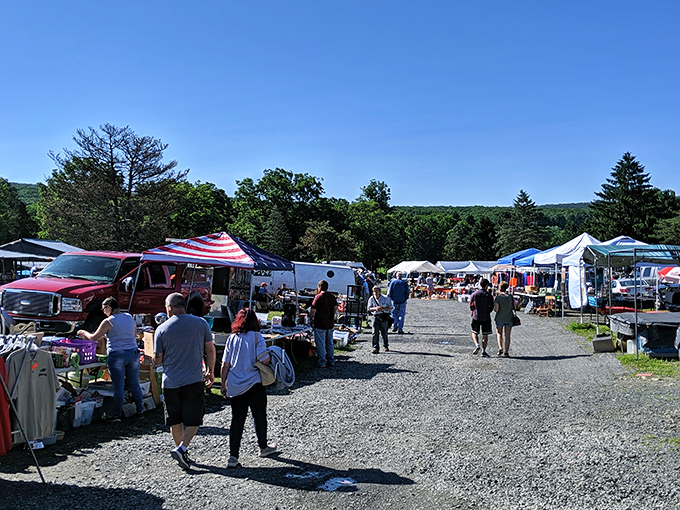 Bargains with a view! Blue Ridge Flea Market offers mountain scenery as the perfect backdrop for serious treasure hunting.