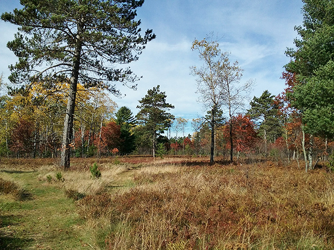 Boulder Junction's wilderness trails offer natural therapy &ndash; no appointment or copay required for this mental health boost.