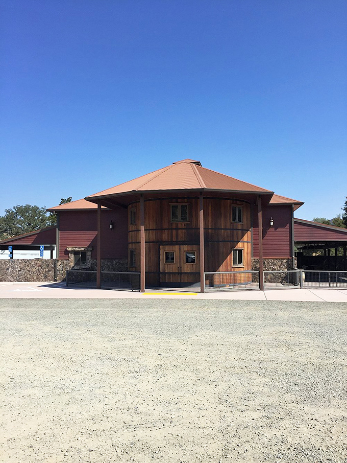 Lakeside luxury in Clearlake that Social Security can actually afford! This modern wooden haven looks like it belongs on a retirement brochure.
