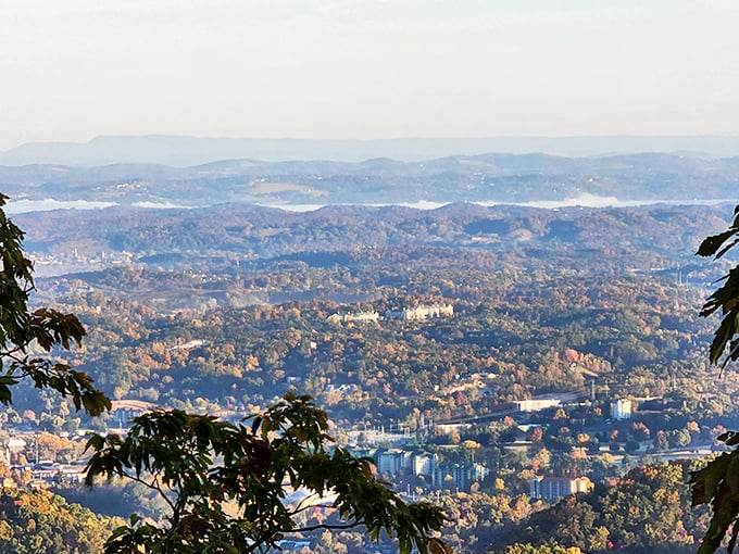 Cosby's mountain views come with a side of serenity that no five-star resort could possibly match.
