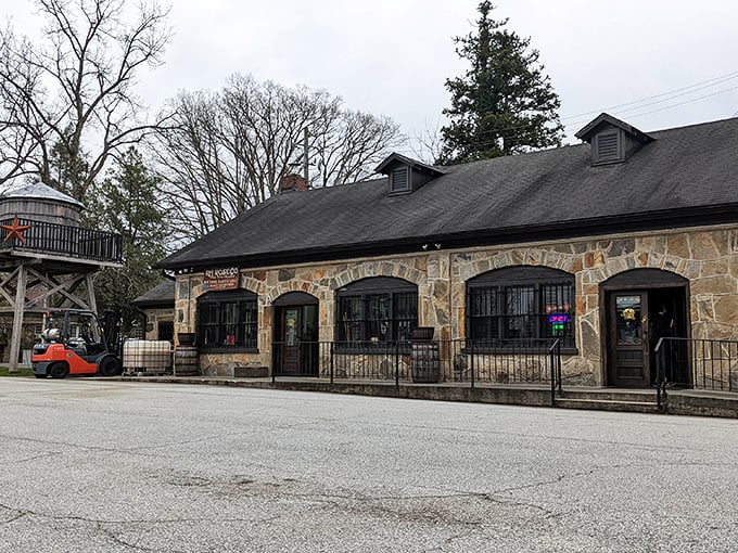 Dillard's stone building houses local treasures – the kind of place where you'll find that perfect something you didn't know you needed.