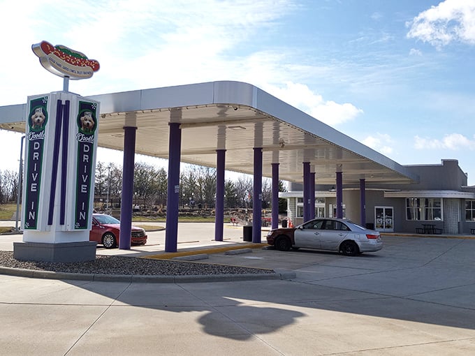 Doodle's sleek, retro design with its sweeping canopy looks like it was built for a future that valued style over speed.