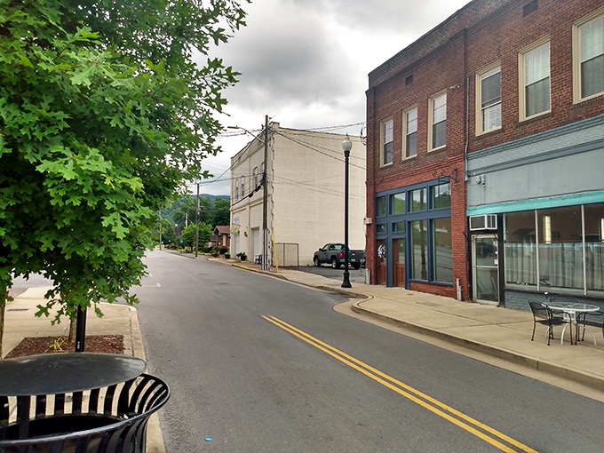 Erwin's quiet street scene offers that perfect small-town tableau&mdash;brick, sidewalk, and a young tree that's being given every chance to become tomorrow's landmark.