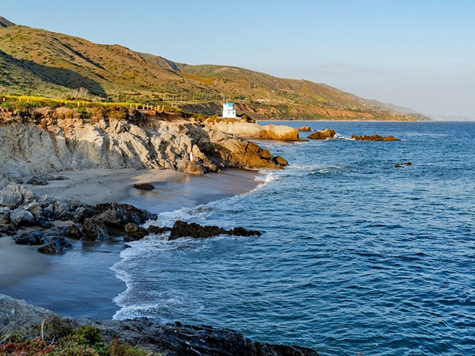 Malibu's hidden coves create secret worlds for leashed explorers. Those rocks have seen a million doggy smiles and counting.