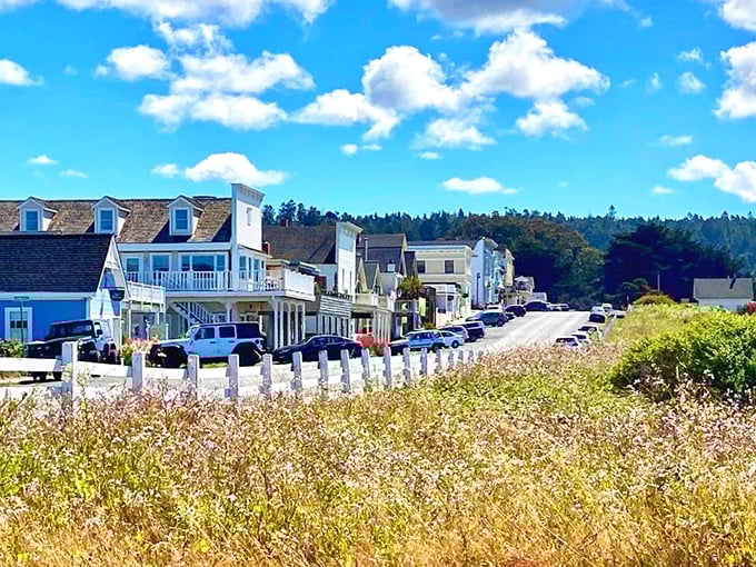 Coastal charm meets historic elegance in Mendocino, California &mdash; a scenic seaside village known for its Victorian architecture, wildflower meadows, and breathtaking ocean views.